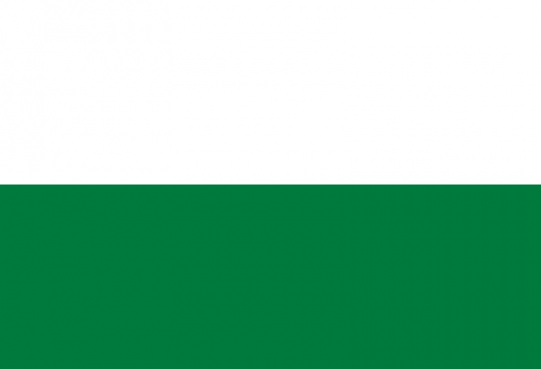 Fundación de Cobija - Comunidad Escolar : Comunidad Escolar